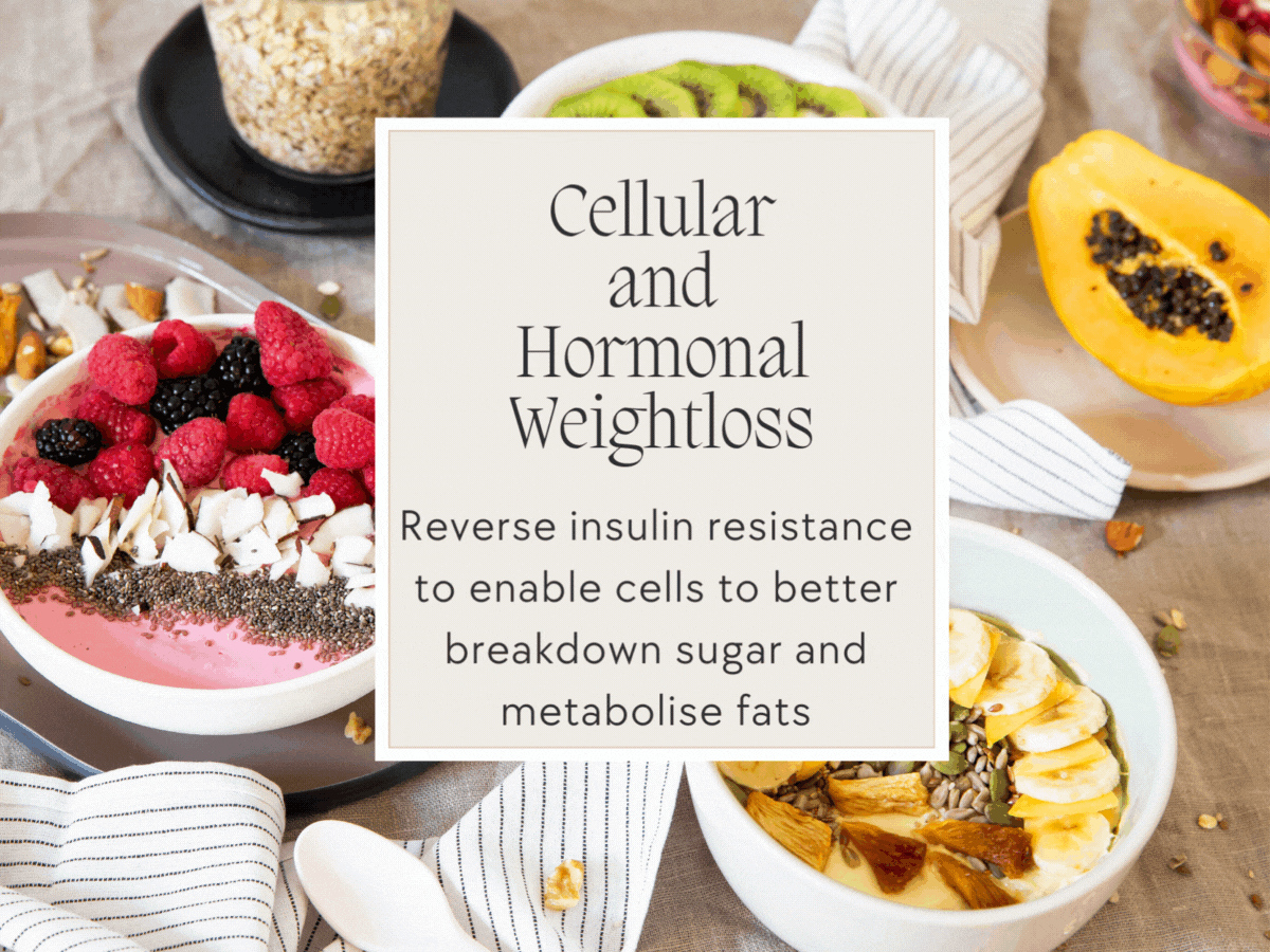 Efila Singapore – efilasg