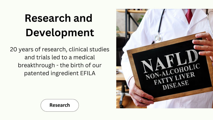 Efila Singapore – efilasg