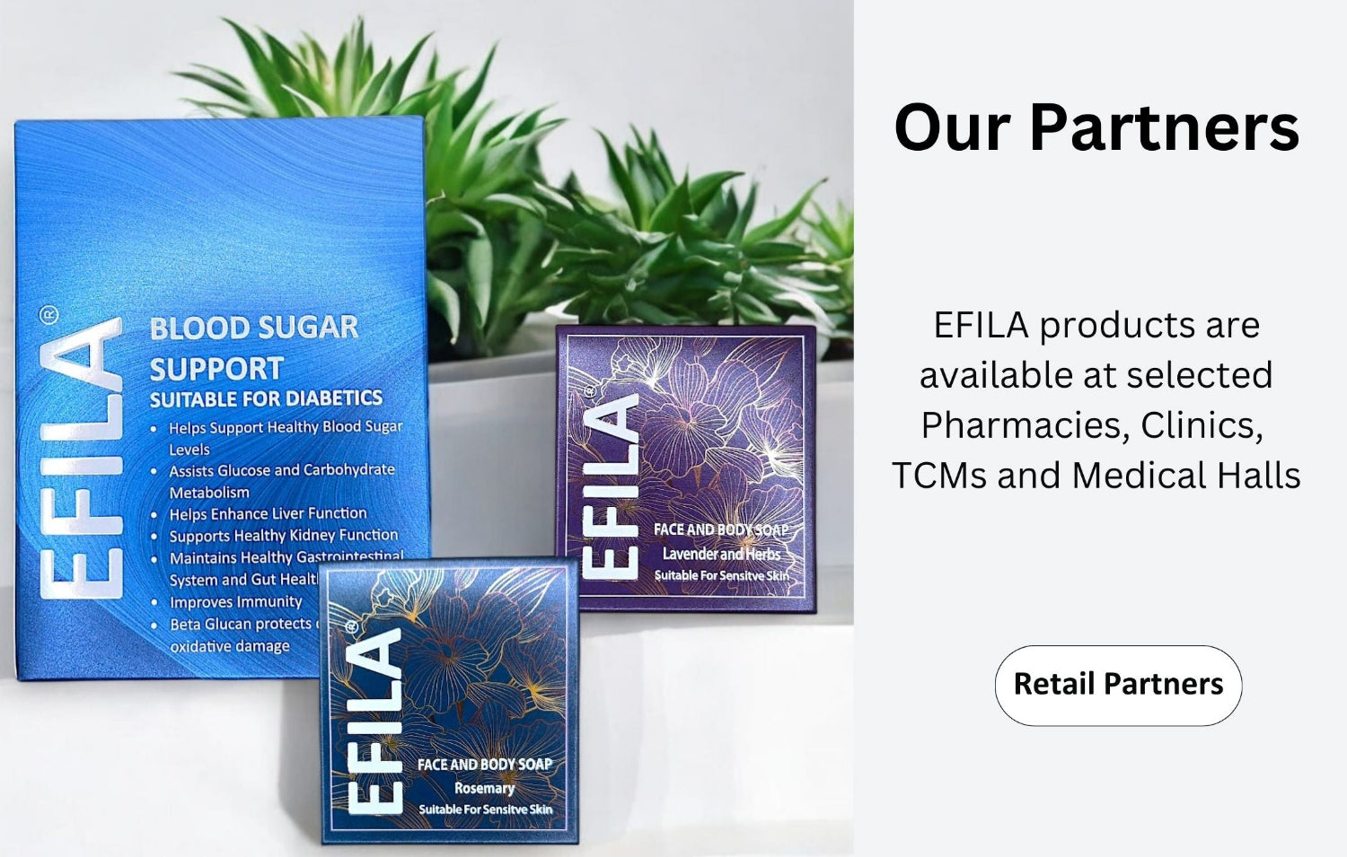 Efila Singapore – efilasg