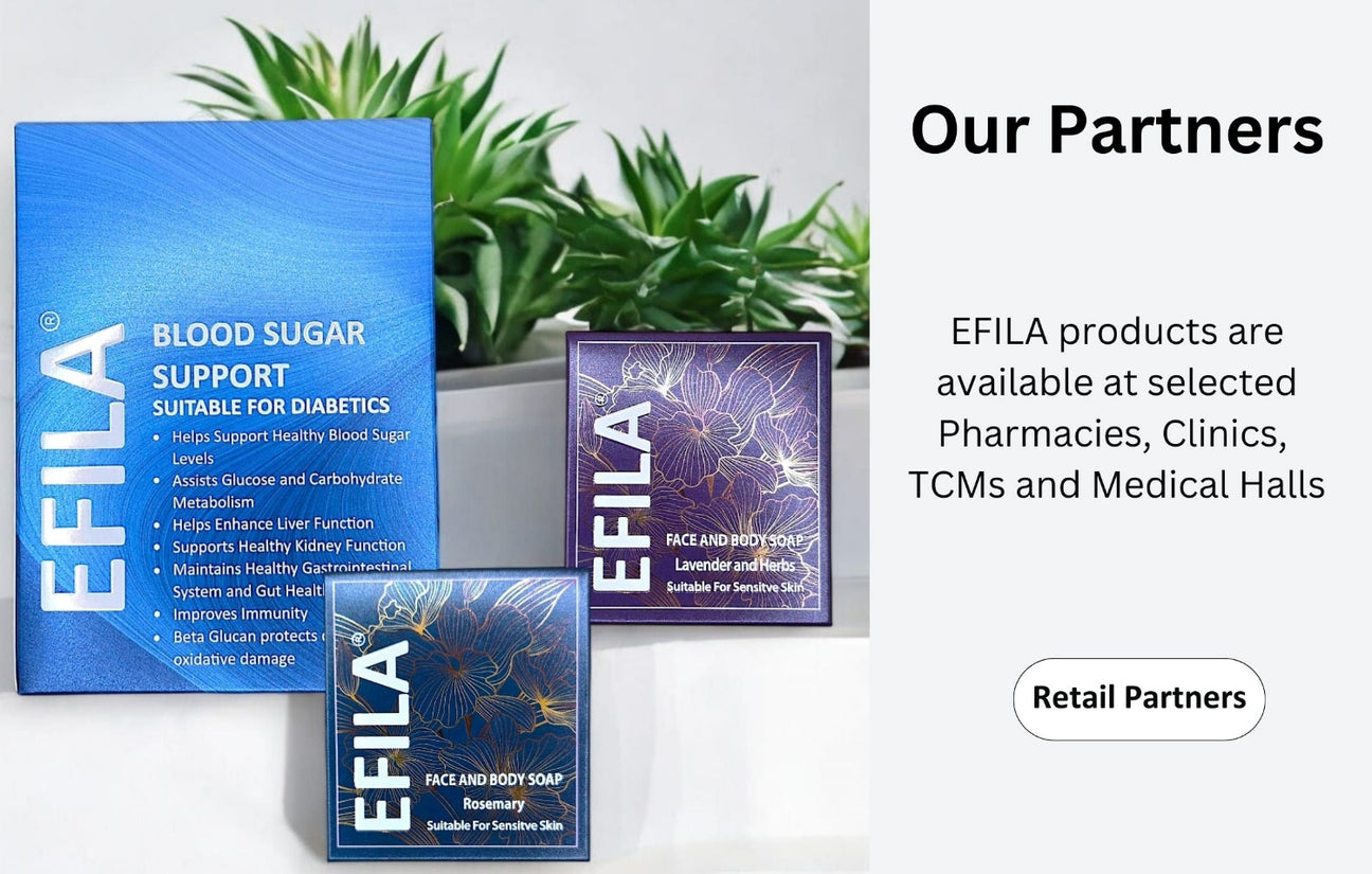 Efila Singapore – efilasg