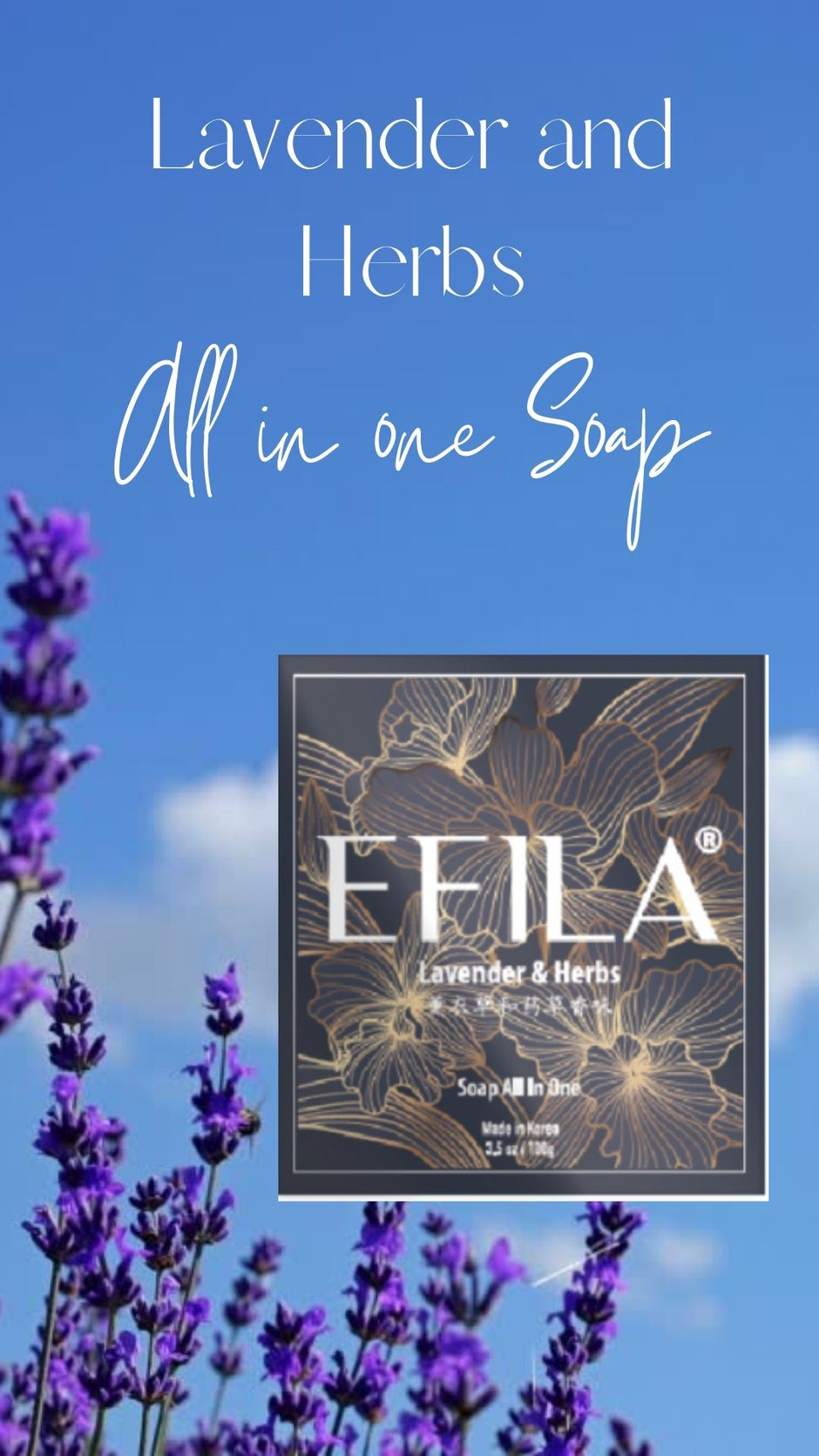 Efila Singapore – efilasg