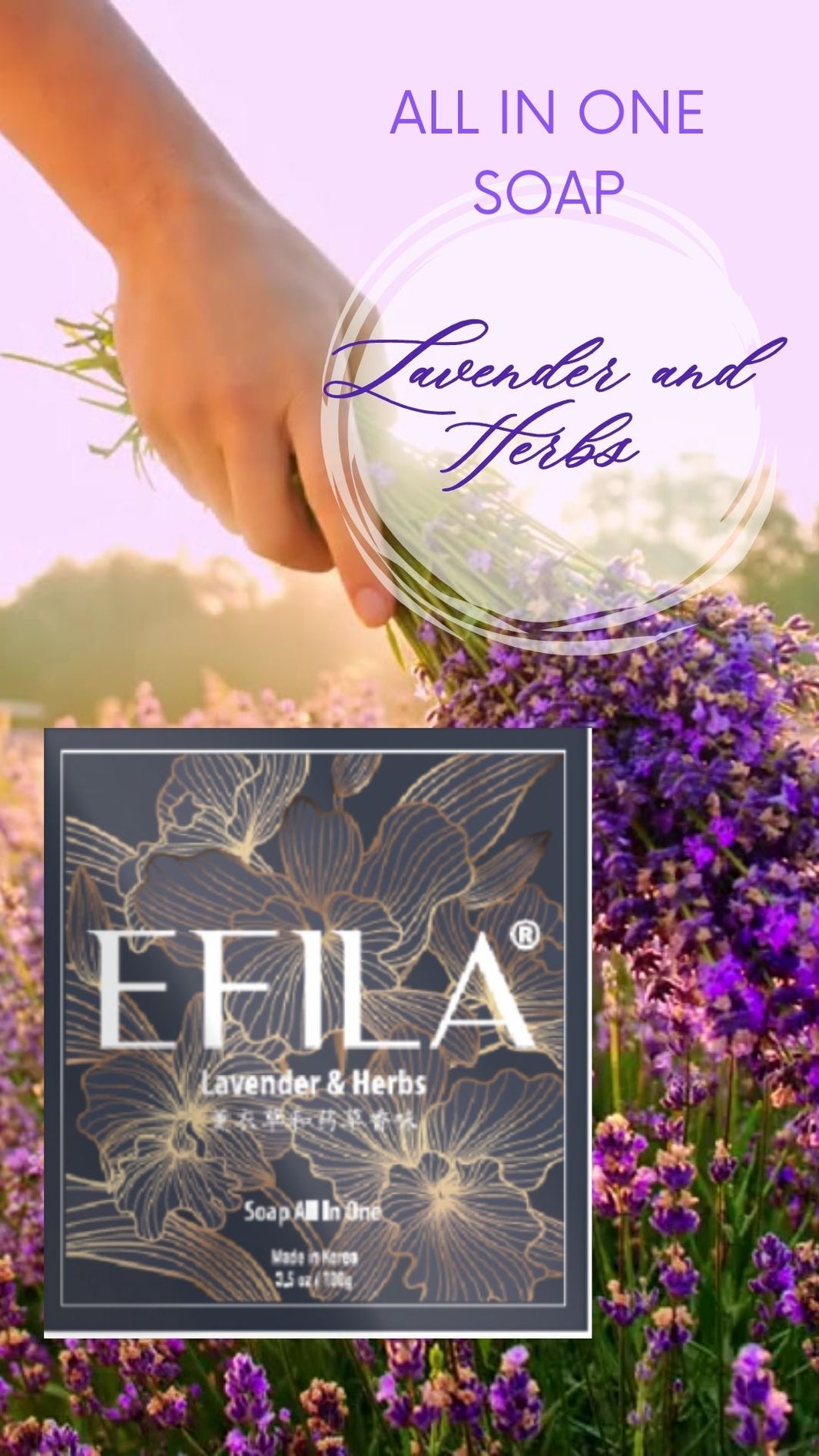 Efila Singapore – efilasg