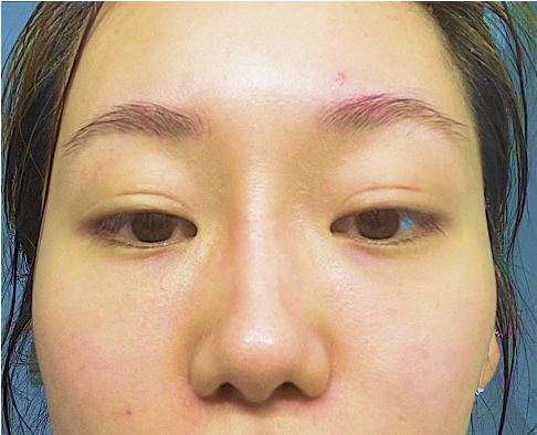 Efila Singapore – efilasg